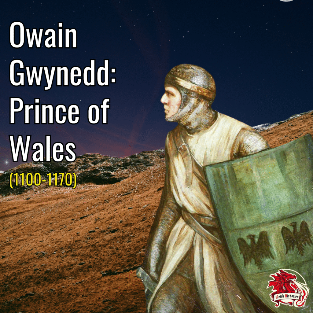 Owain Gwynedd & His Medieval Triumphs - Welsh Histories
